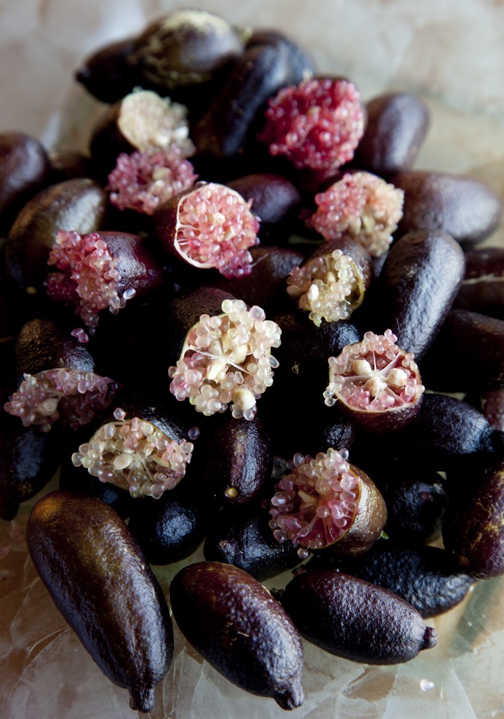 Wild Kitchen - watch tv show stream online