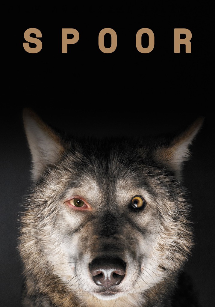 Spoor streaming: where to watch movie online?