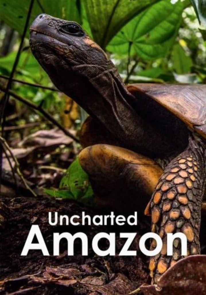 Uncharted Amazon streaming: where to watch online?