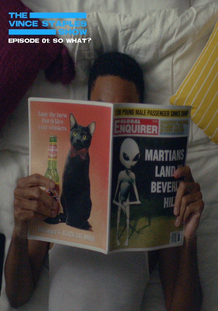 The Vince Staples Show - Ver la serie de tv online