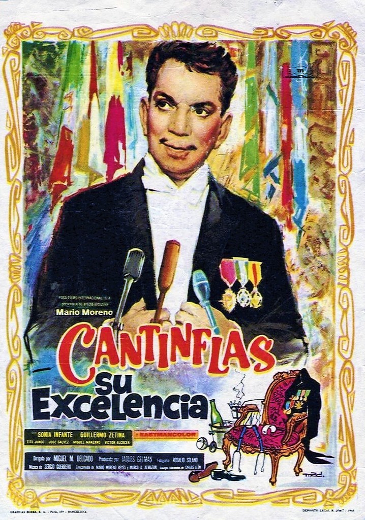 Your Excellency streaming: where to watch online?