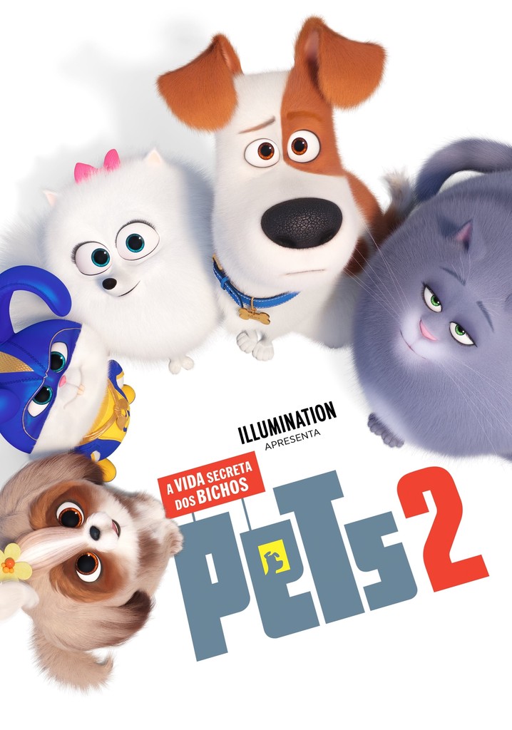 The Secret Life of Pets 2 filme - Onde assistir