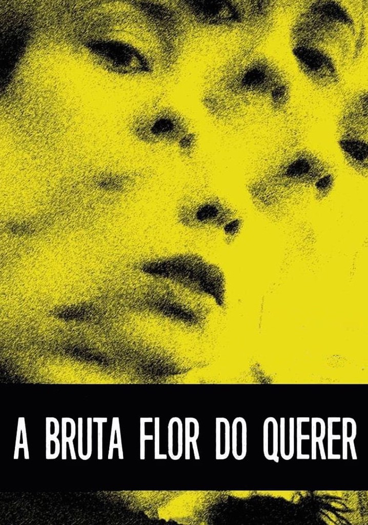 A Bruta Flor do Querer filme - Veja onde assistir