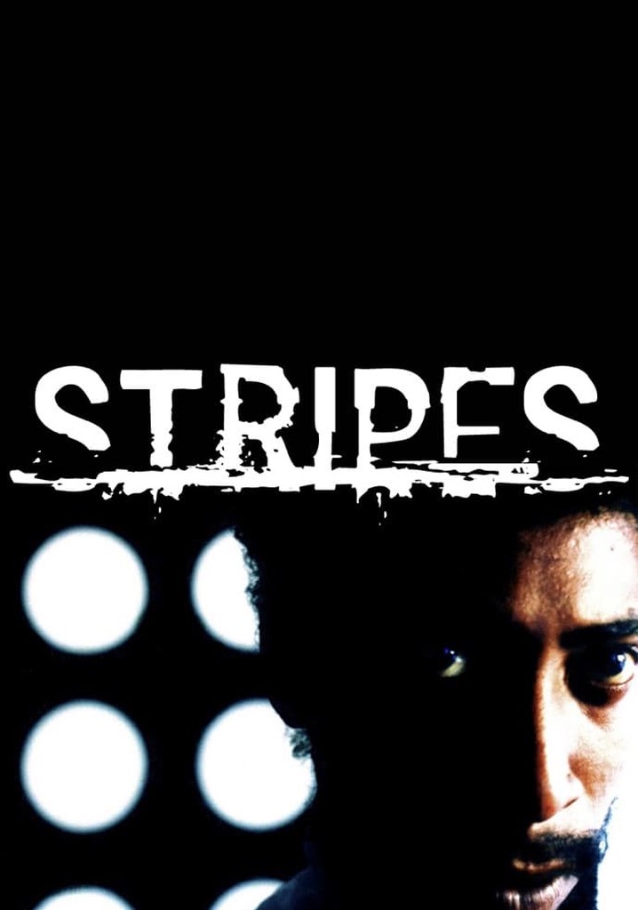 Stripes filme - Veja onde assistir online
