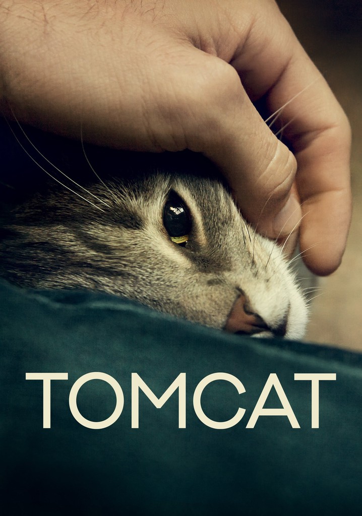 Tomcat streaming: where to watch movie online?