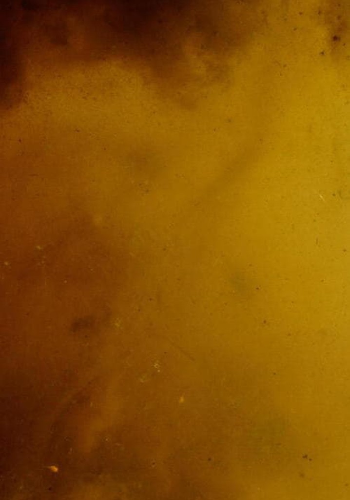 Erpe-Mere - movie: where to watch streaming online