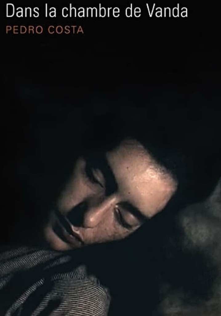 In Vanda's Room streaming: where to watch online?