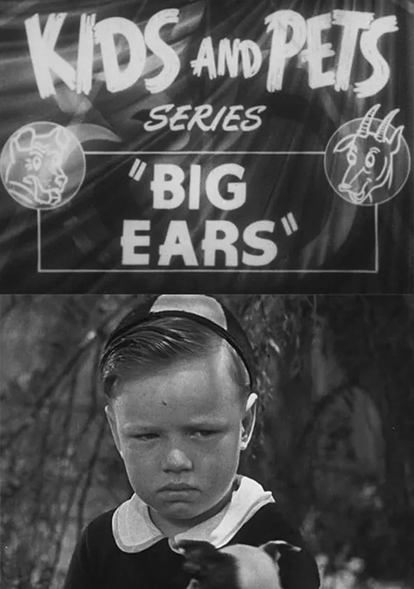 Big Ears streaming: where to watch movie online?