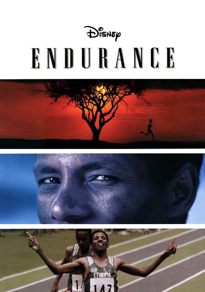 Endurance streaming: where to watch movie online?