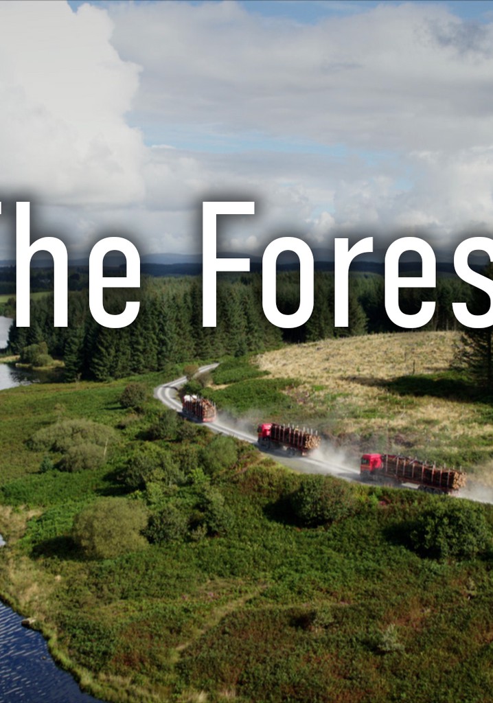 The Forest - watch tv series streaming online