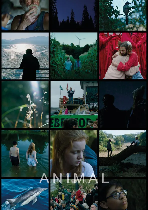 Animal - movie: where to watch stream online