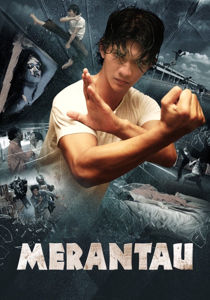 Merantau streaming: where to watch movie online?