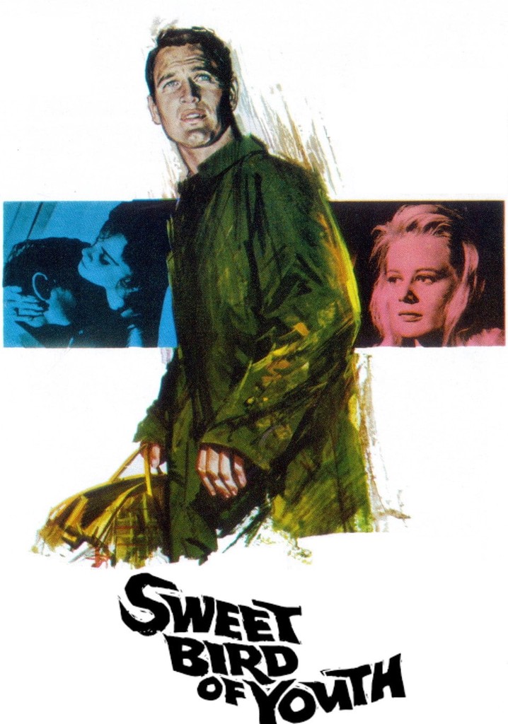 Sweet Bird of Youth streaming: where to watch online?