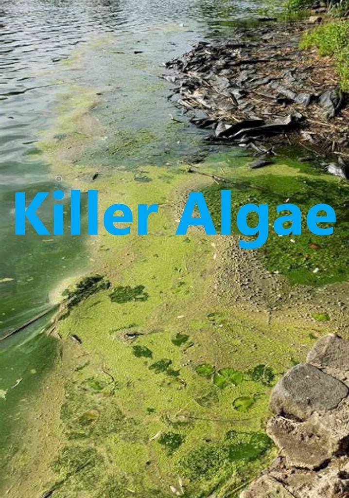 Killer Algae streaming: where to watch movie online?