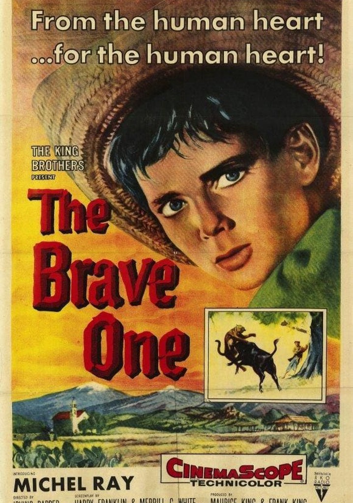 The Brave One streaming: where to watch online?