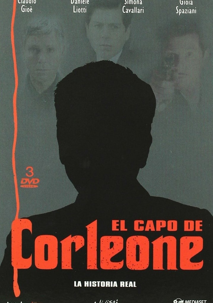 Il capo dei capi - Ver la serie de tv online