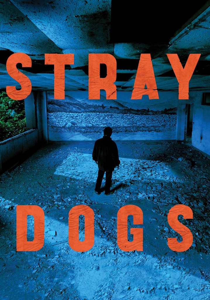 Stray Dogs streaming: where to watch movie online?