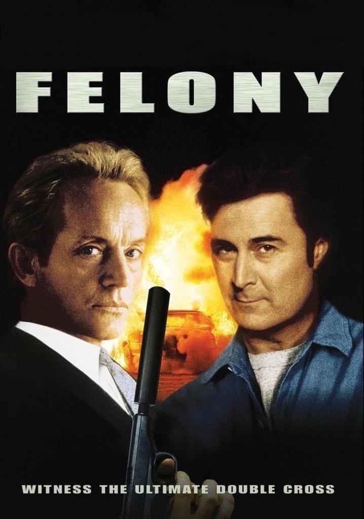 Felony streaming: where to watch movie online?
