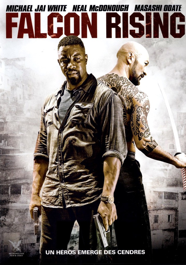 Regarder Falcon Rising en streaming complet et légal