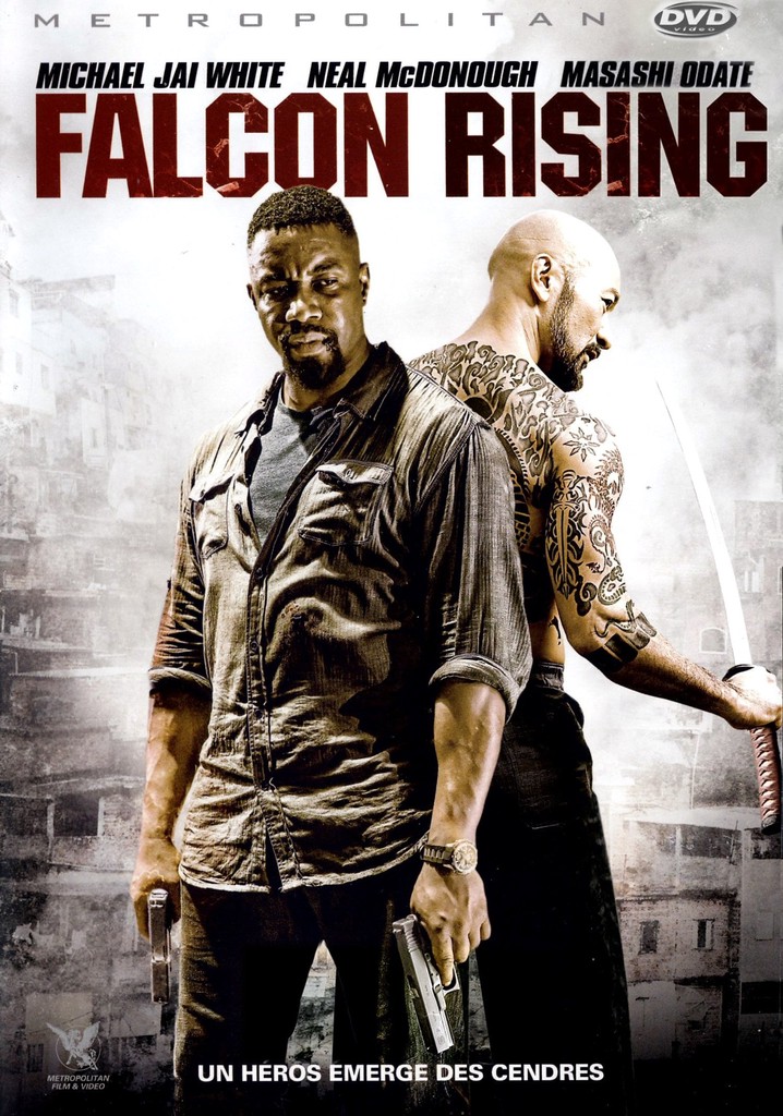Regarder Falcon Rising en streaming complet et légal