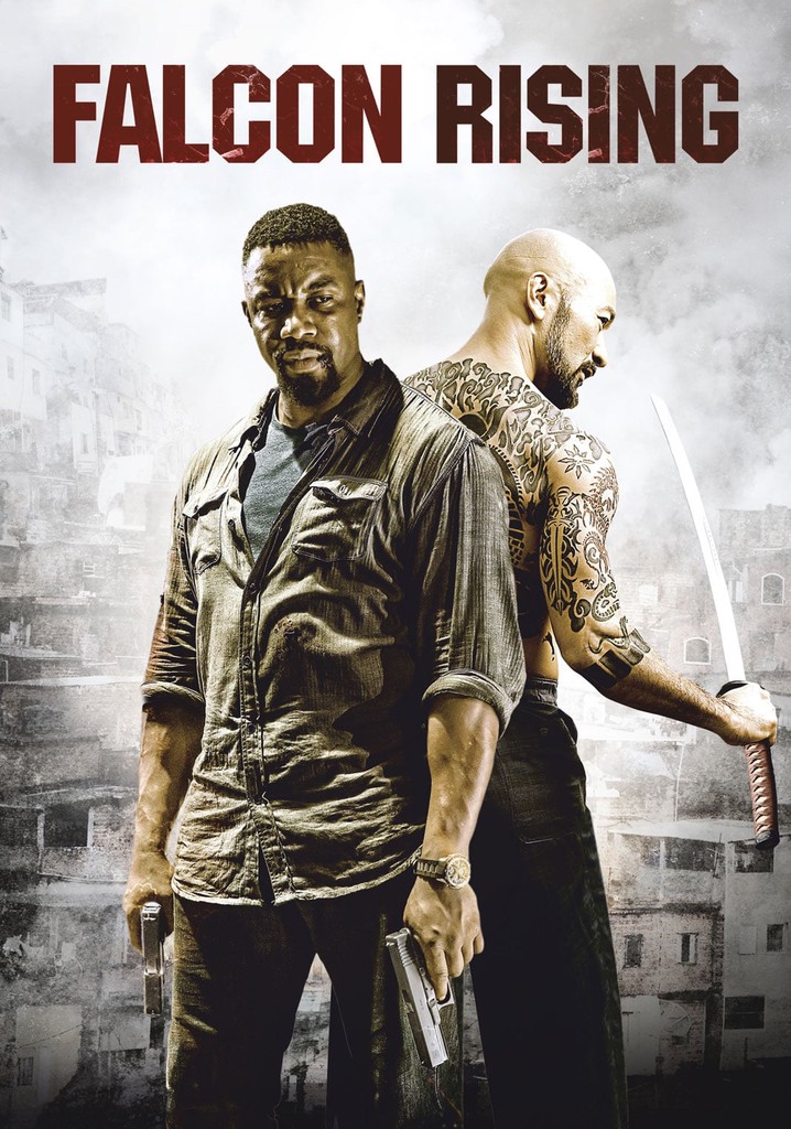 Falcon Rising streaming: where to watch online?