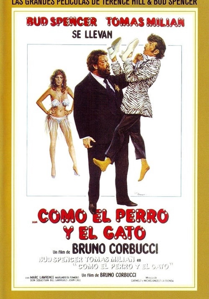 Como el perro y el gato - película: Ver online