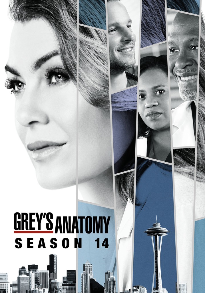 Grey's Anatomy Season 14 - watch episodes streaming online