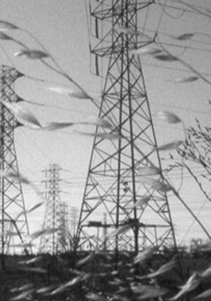 Marginalia streaming: where to watch movie online?