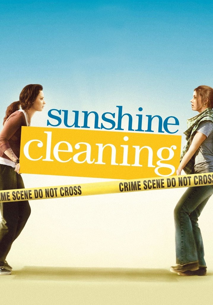 Sunshine Cleaning streaming: where to watch online?