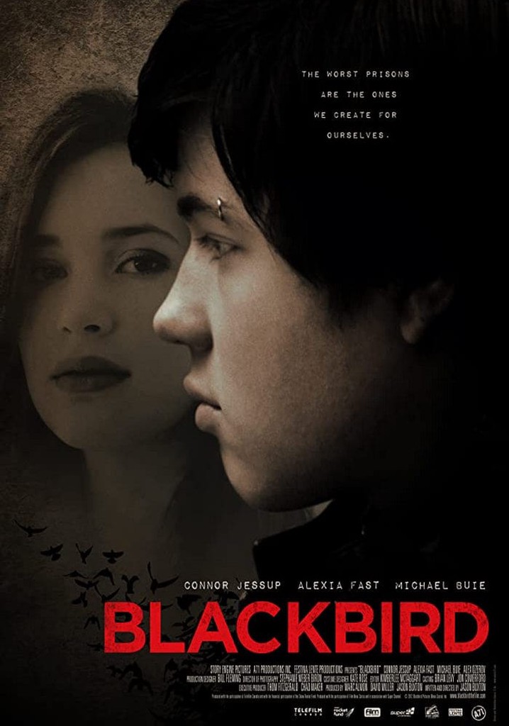 Blackbird streaming: where to watch movie online?