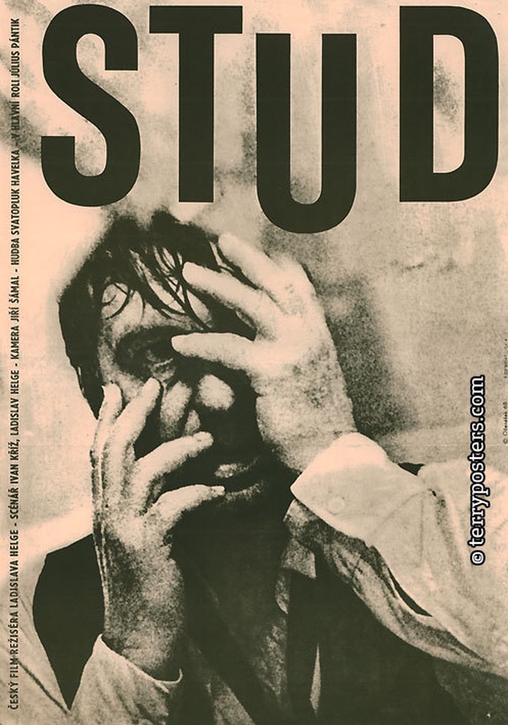 Stud streaming: where to watch movie online?