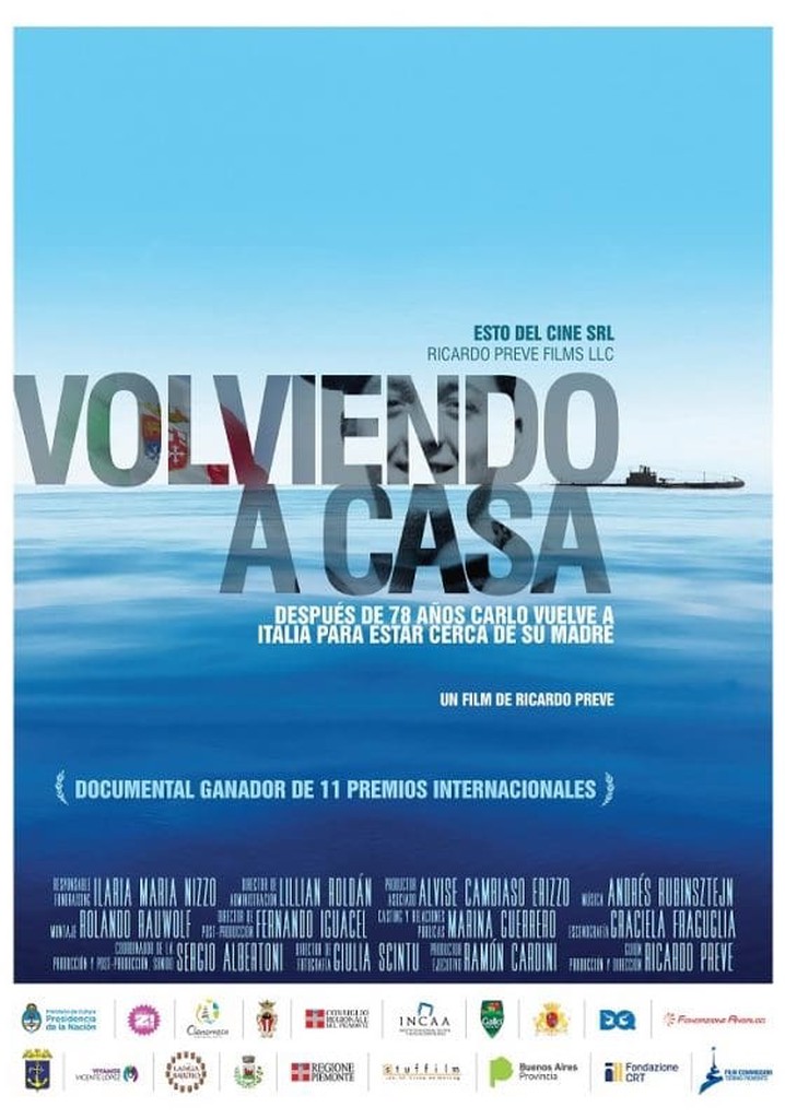 Tornando a casa - film: guarda streaming online