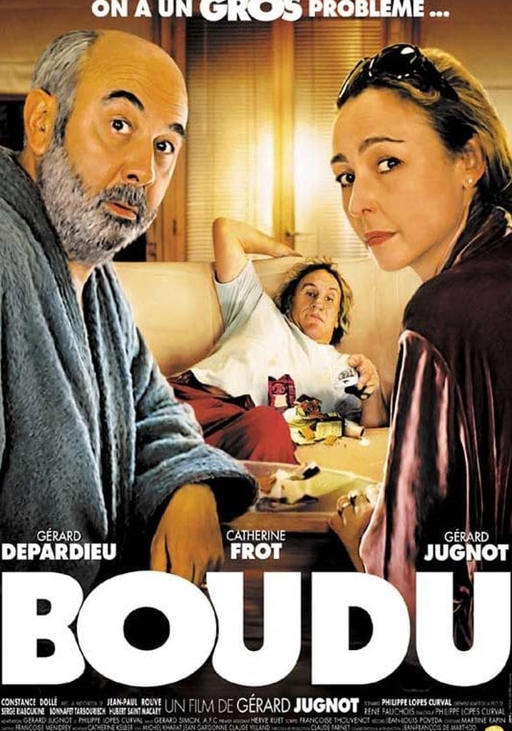 Où regarder Boudu en streaming complet et légal