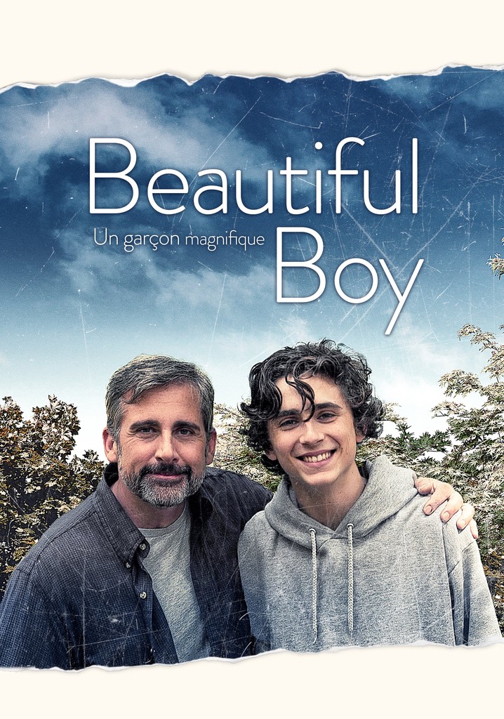 Regarder My Beautiful Boy en streaming complet