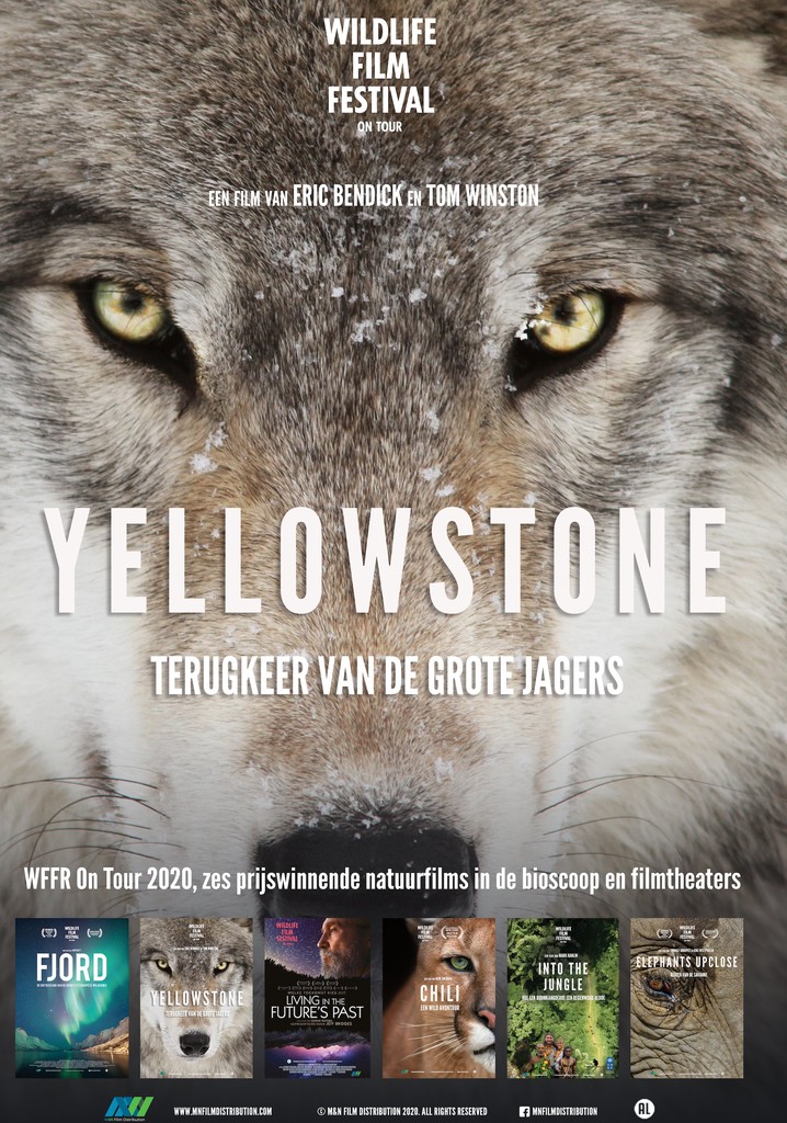 Yellowstone streaming: where to watch movie online?