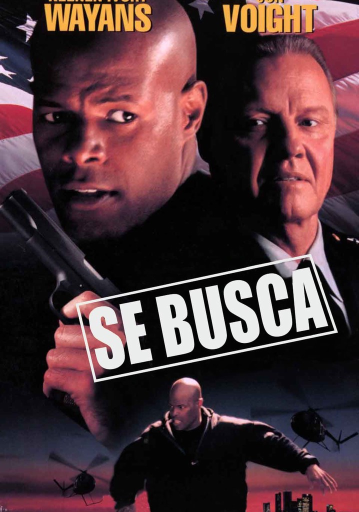 Se busca - película: Ver online completa en español
