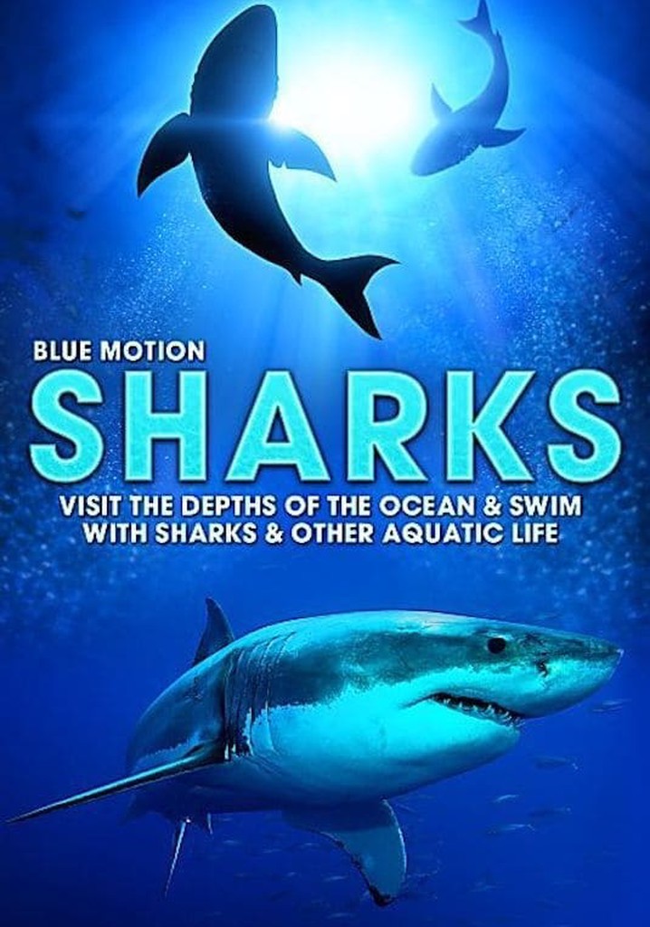 Blue Motion - Rulers of the oceans streaming