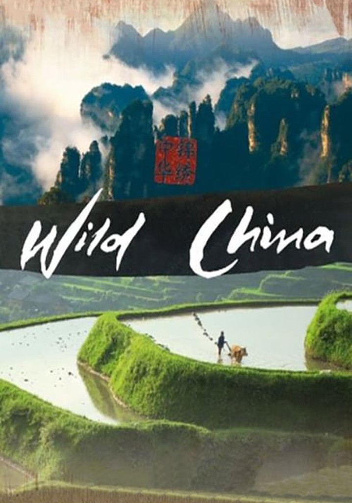 Wild China - guarda la serie in streaming online