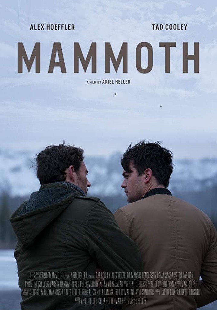 Mammoth streaming: where to watch movie online?