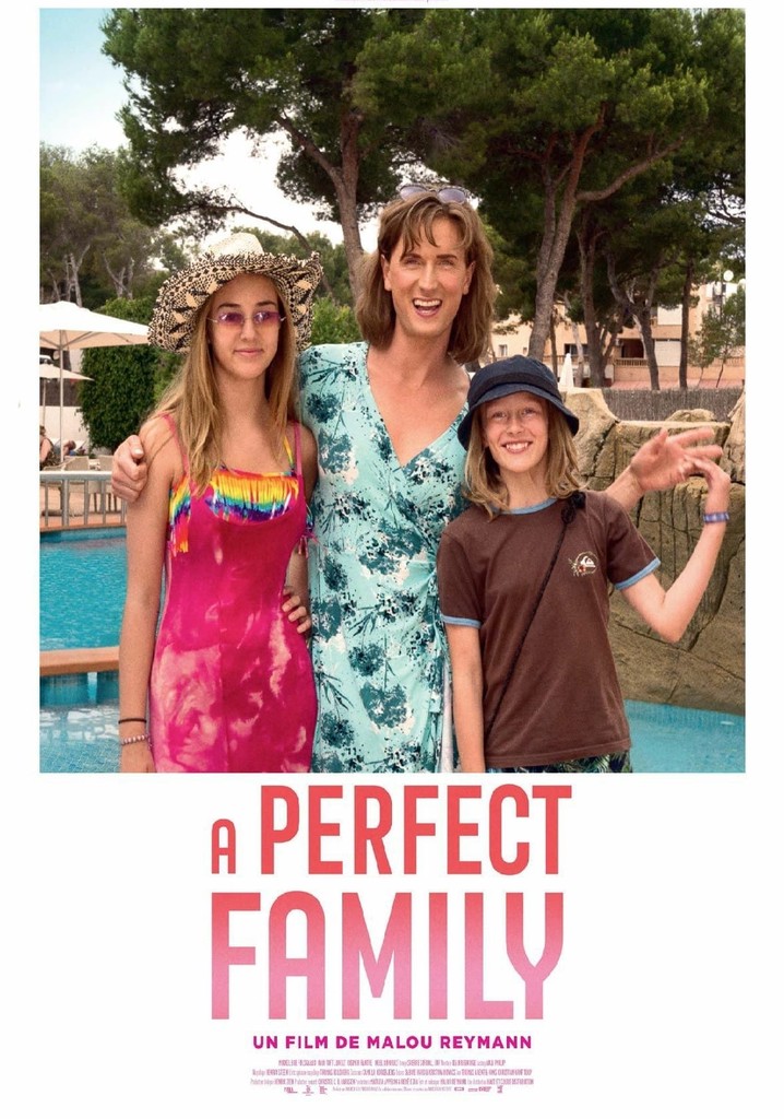 Regarder A Perfect Family en streaming complet
