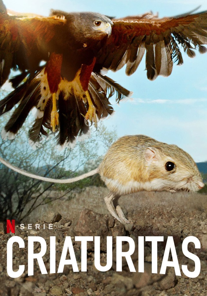 Fauna minúscula - Ver la serie de tv online