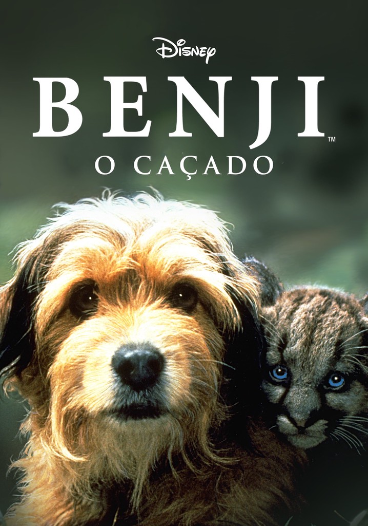 Benji the Hunted filme - Veja onde assistir