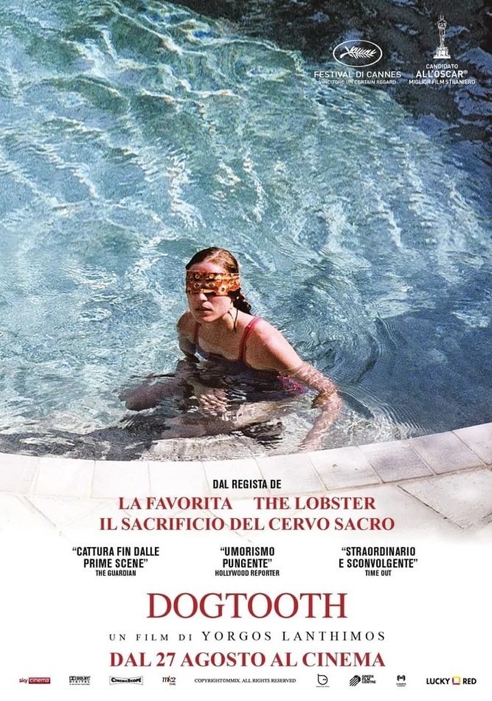 Dogtooth - film: dove guardare streaming online