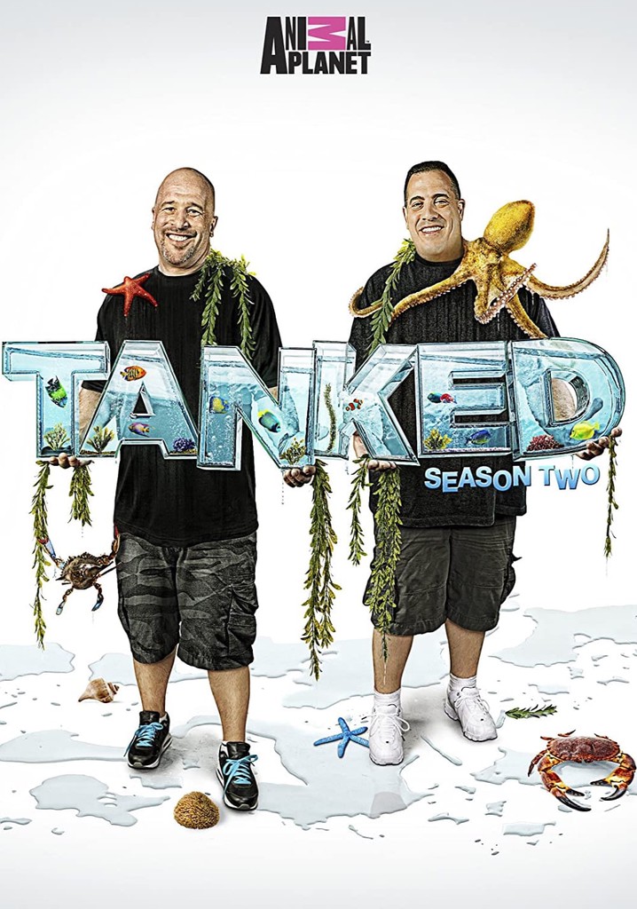 Tanked Season 2 - watch full episodes streaming online