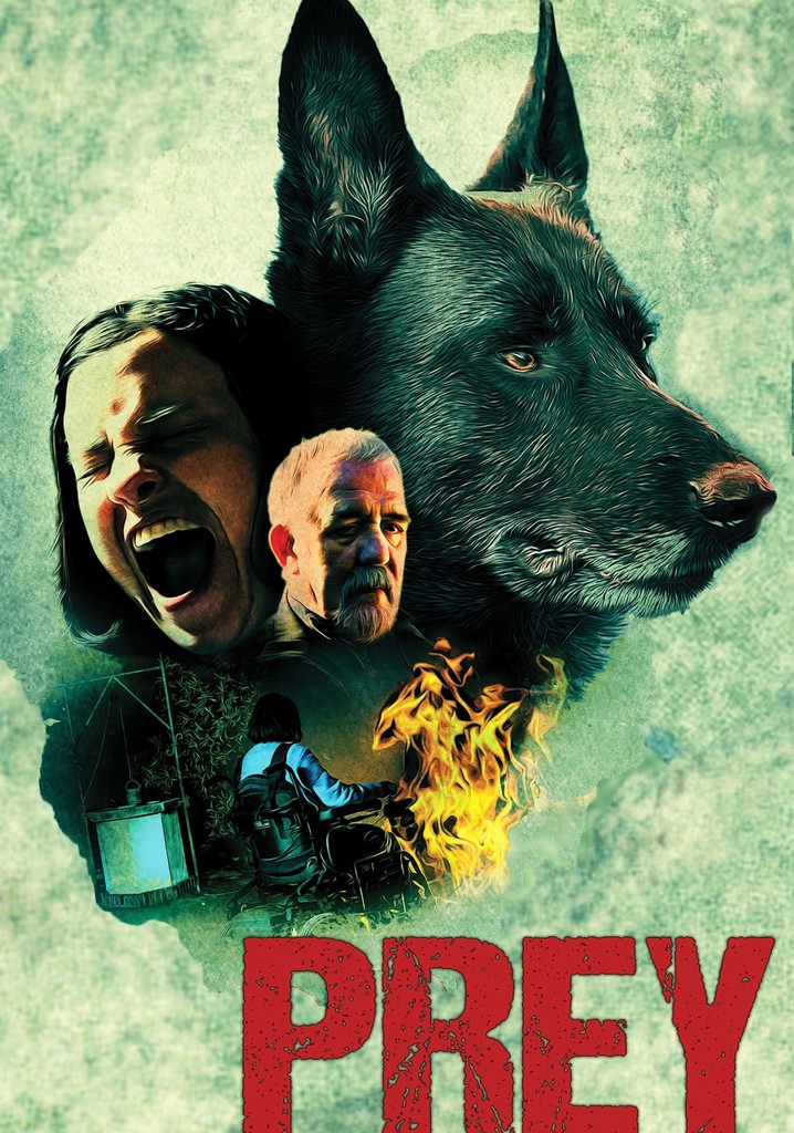 Où regarder Ropes en streaming complet et légal