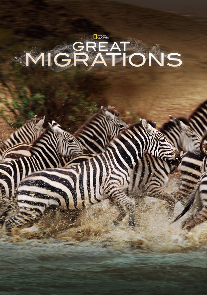 Great Migrations Season 1 - watch episodes streaming online