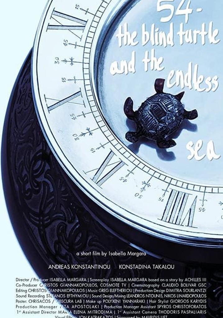 The Blind Turtle and the Endless Sea en streaming