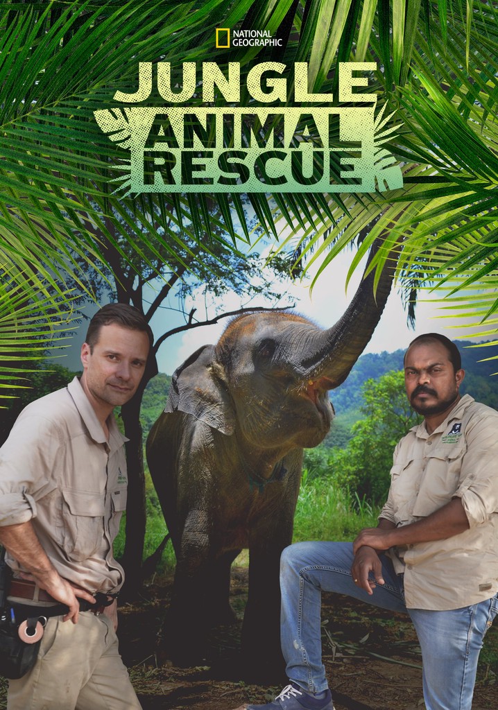 Jungle Animal Rescue Season 1 - watch episodes streaming online