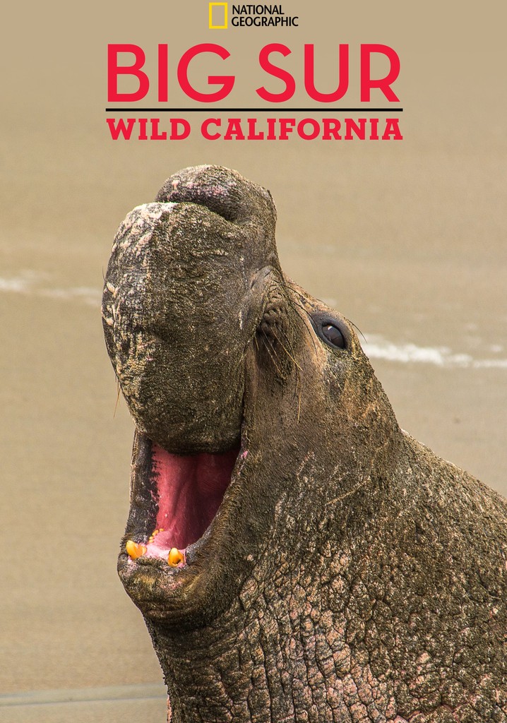 Big Sur: Wild California streaming: watch online