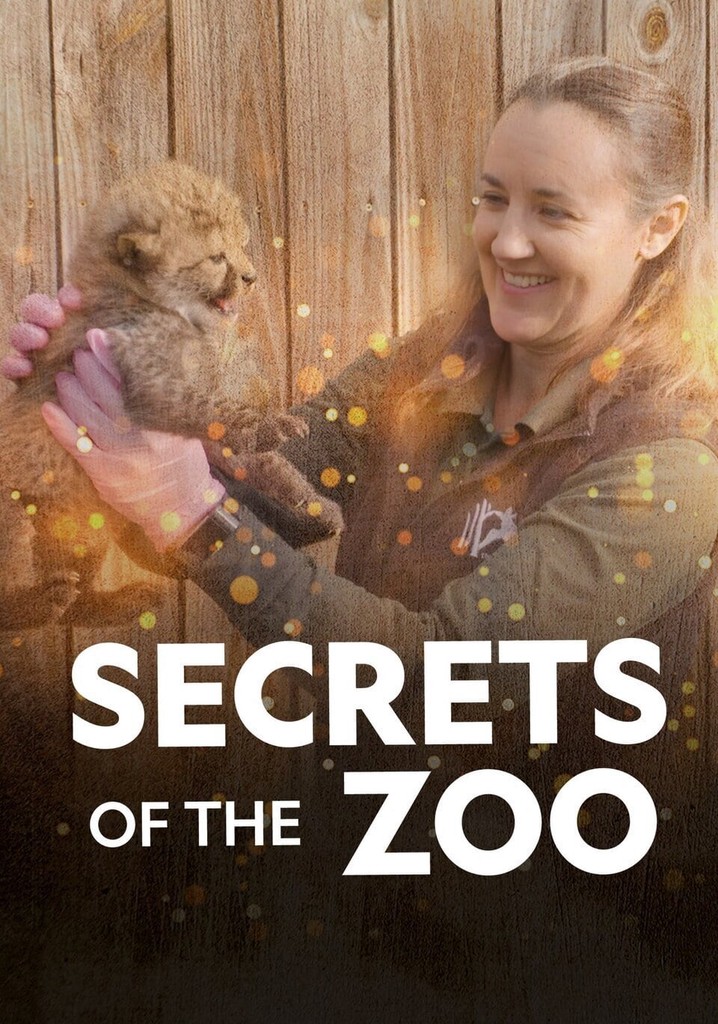 Secrets of the Zoo Season 4 - watch episodes streaming online